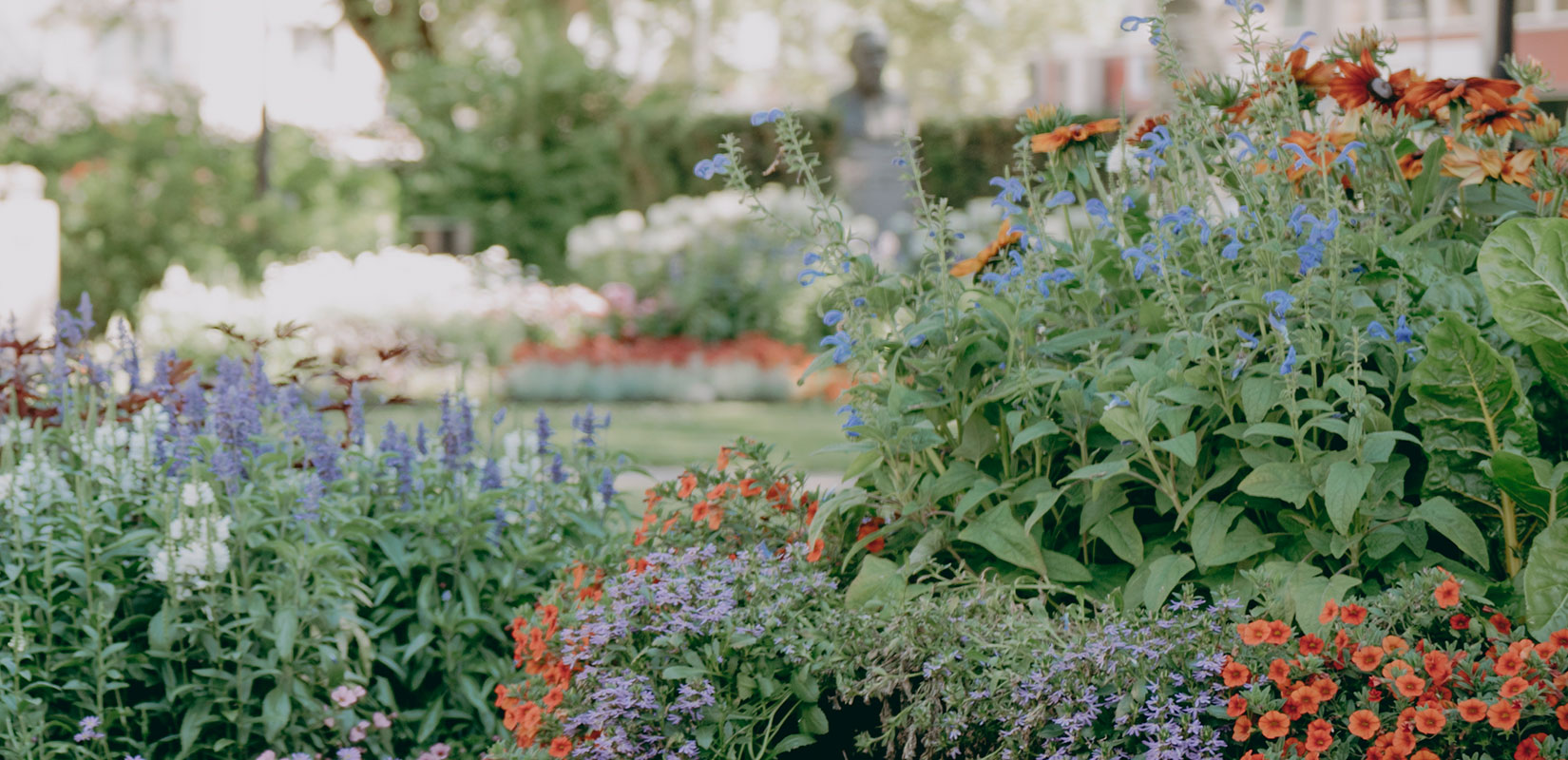Edlevo för vårdnadshavare | Karlskoga